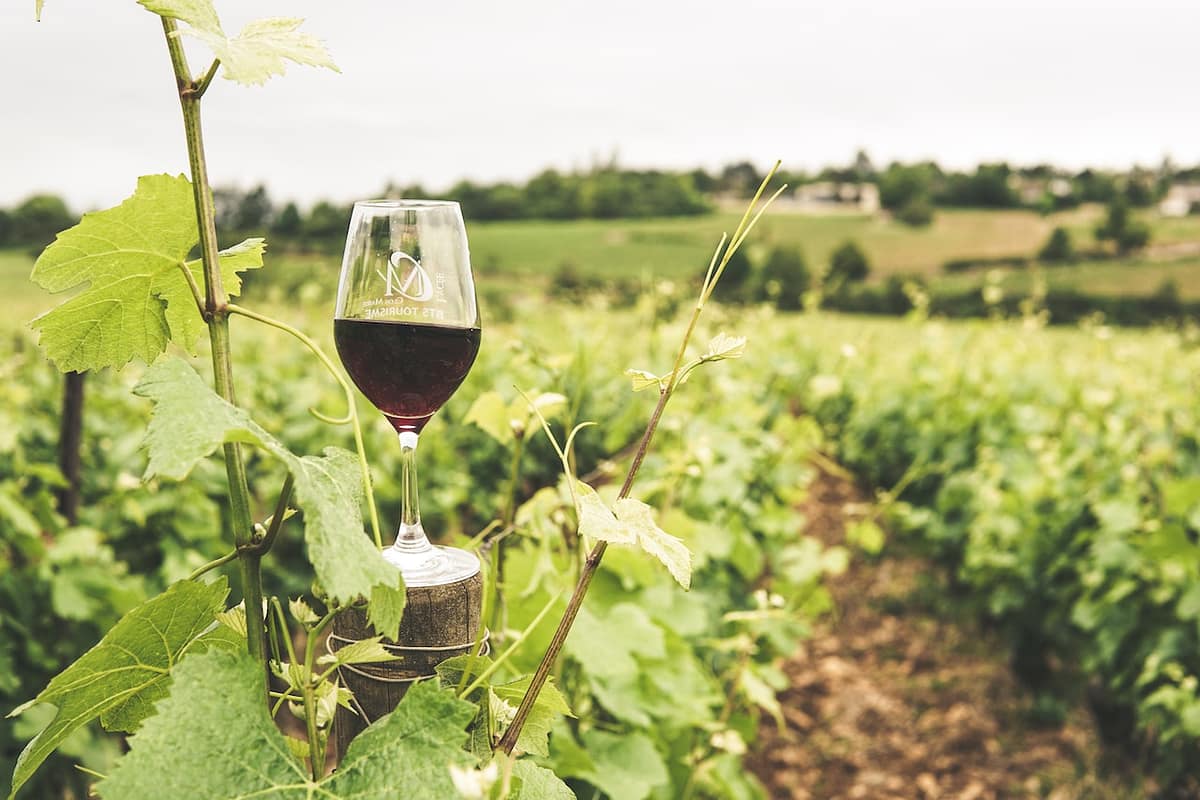 le marché du vin en France | Made in FR