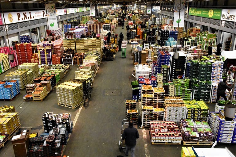 le marché du négoce de fruits et légumes frais en France | Made in FR